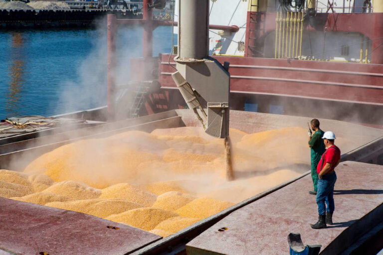 Carga a granel - Tudo sobre: tipos, dicas e como transportar